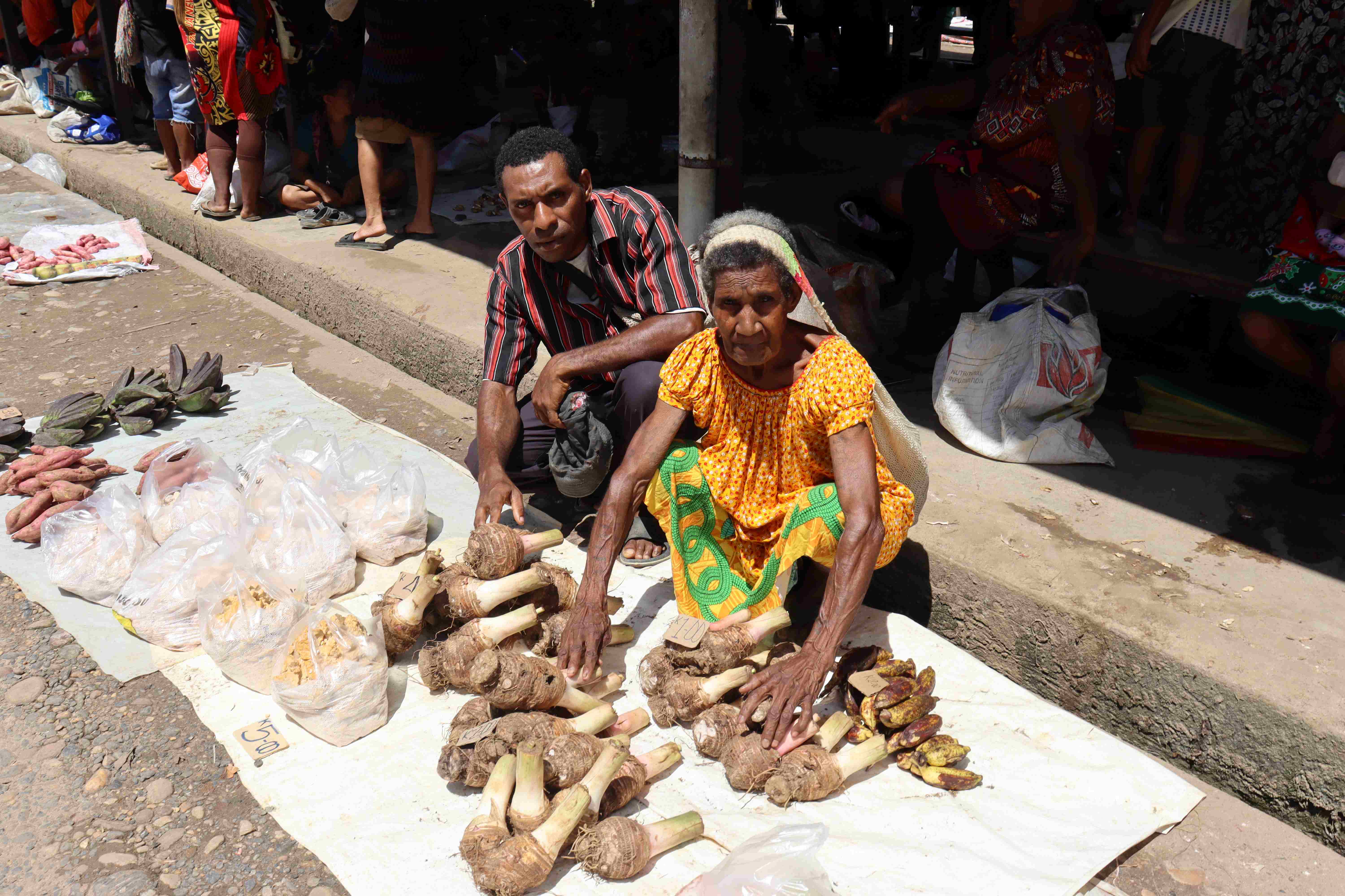 Farming for Food Security and Income generation - Ok Tedi Development ...